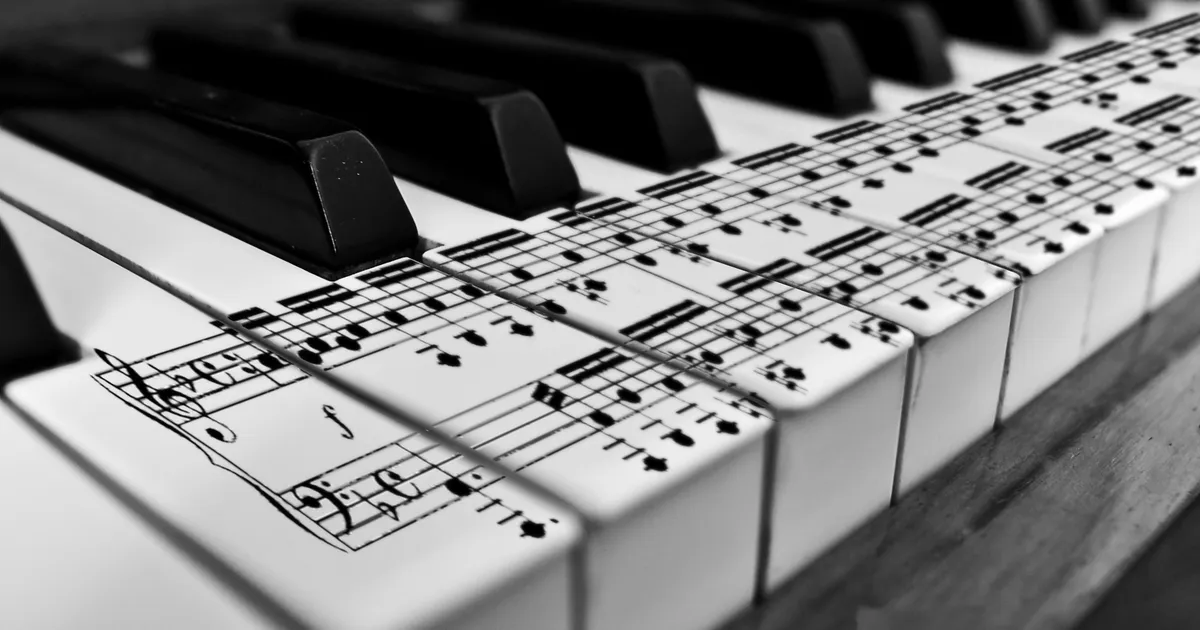Casio LK-130 | Musical Keyboards for Beginners