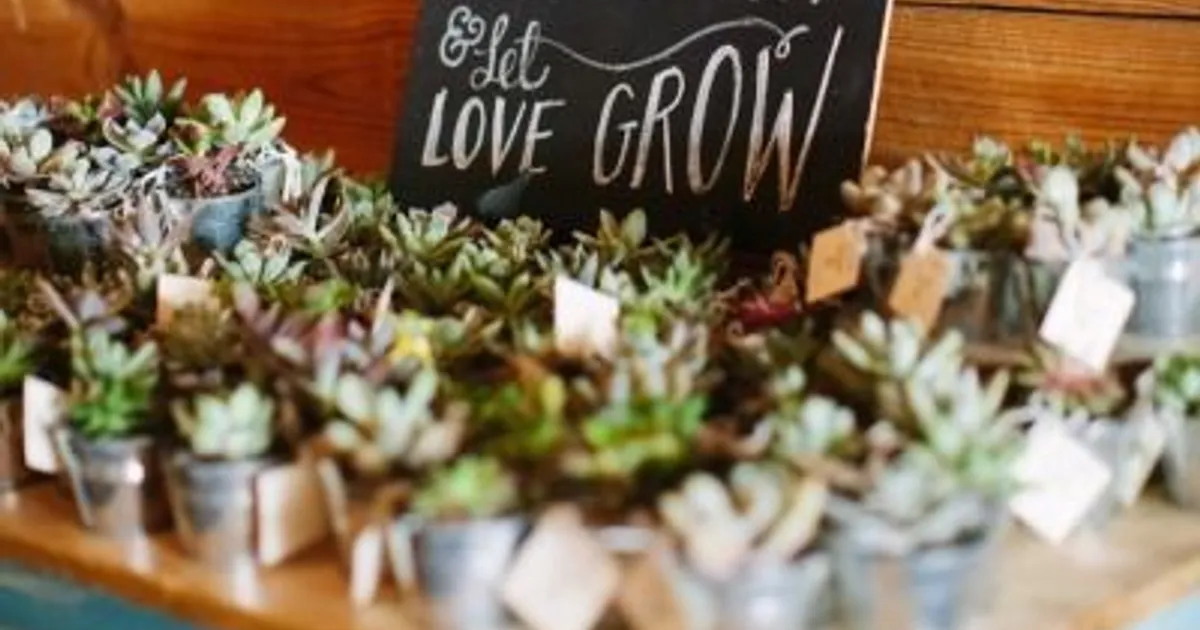 Start planning the honeymoon | Spring Wedding Planning