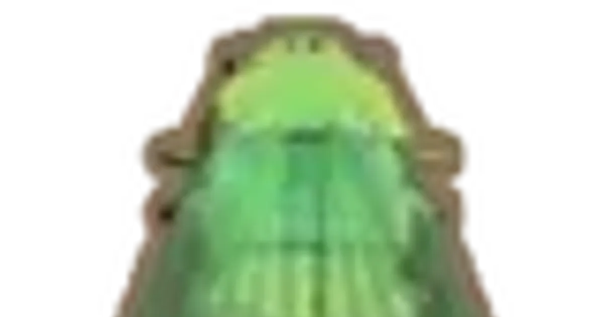 cicada | Dinkum - Fish, Critter, and Bug List