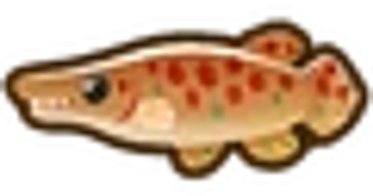 Gator Gar | Coral Island Fishing Guide