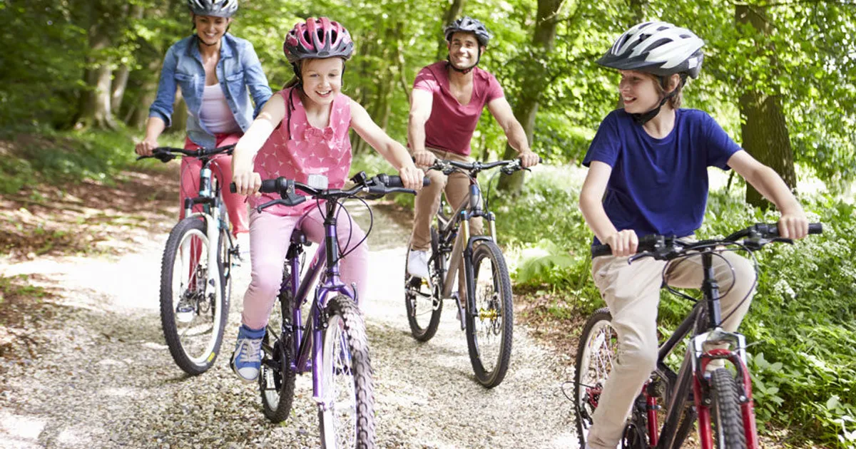 Go on a bug hunt | The Ultimate List of 300+ Activities To Do With Kids ...